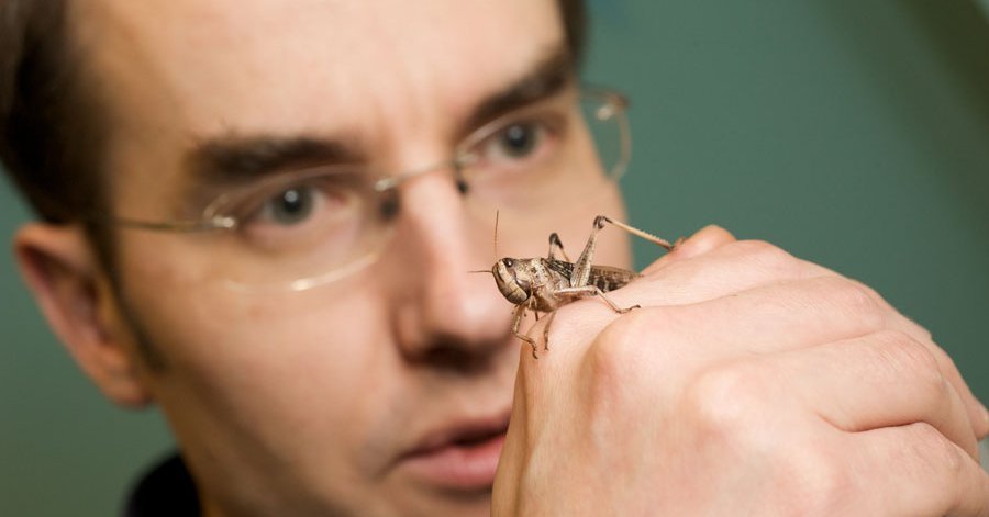 Interview with Dr. Windmill about hearing of insects - Polytec Magazine